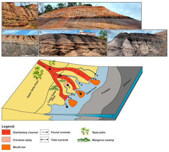 Effect of Depositional Environment and Climate on Organic Matter ...