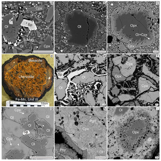 Miocene Petit-Spot Basanitic Volcanoes on Cretaceous Alba Guyot ...
