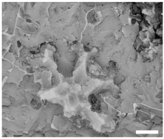 Miocene Petit-Spot Basanitic Volcanoes on Cretaceous Alba Guyot ...
