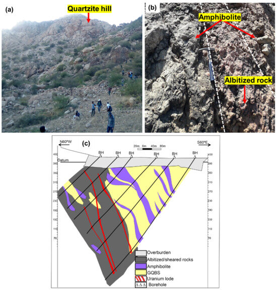 A Review on Uranium Mineralization Related to Na-Metasomatism: Indian ...