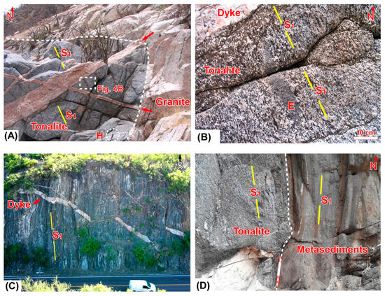 Geology and Zircon U-Pb Geochronology of the Las Cruces Intrusive Suite ...