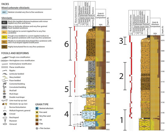 The Effects of Facies Variability and Bioturbation Intensity on ...