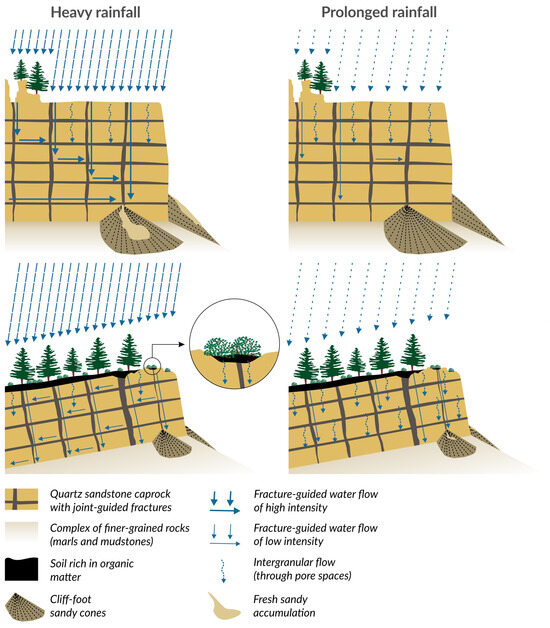 Towards a Better Understanding of Subsurface Processes in the Evolution ...