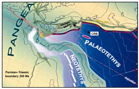 Geochemistry and Petrogenesis of Permo–Triassic Silicic Volcanic Rocks ...