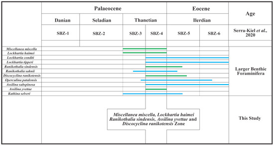 Shallow-Marine Late Thanetian Lockhart Limestone from the Hazara Basin ...