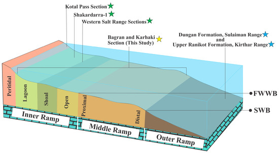 Shallow-Marine Late Thanetian Lockhart Limestone from the Hazara Basin ...