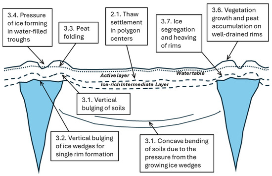 Formation of Low-Centered Ice-Wedge Polygons and Their Orthogonal ...