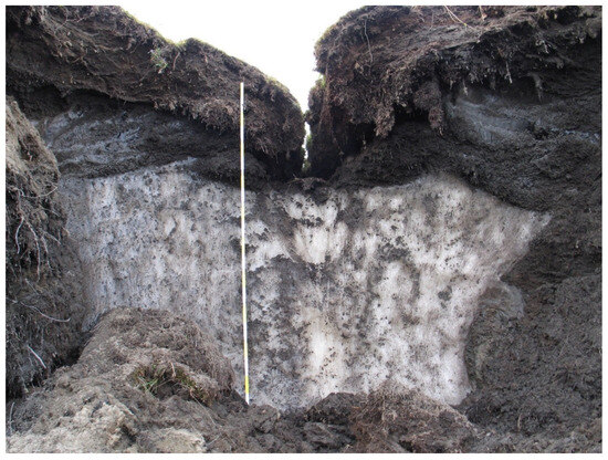 Formation of Low-Centered Ice-Wedge Polygons and Their Orthogonal ...