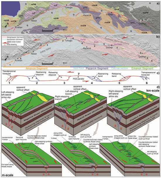 Examples of Rupture Patterns of the 2023, Mw 7.8 Kahramanmaraş Surface ...
