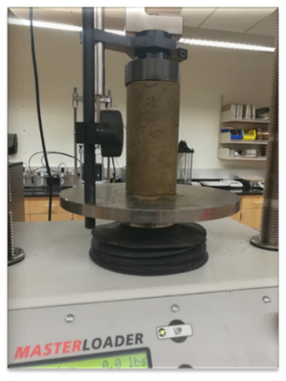 Microbial-Facilitated Calcium Carbonate Precipitation as a Shallow ...