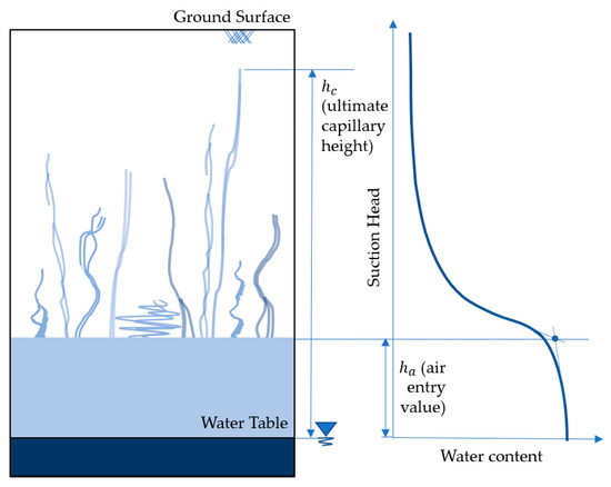 Review of Capillary Rise Experiments for Surface-Active Solutes in the ...