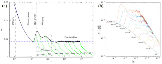 Density-Driven Convection for CO2 Solubility Trapping in Saline ...