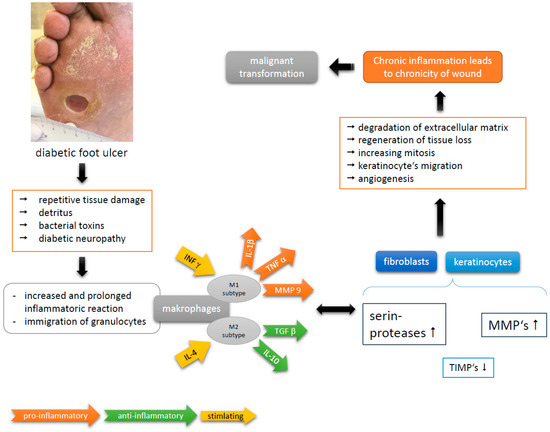 Malignant Transformation in Diabetic Foot Ulcers—Case Reports and ...