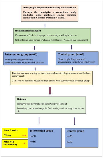 Education Intervention Has the Potential to Improve Short-Term Dietary ...
