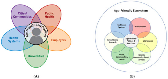 Age-Friendly Ecosystems: Expert Voices from the Field