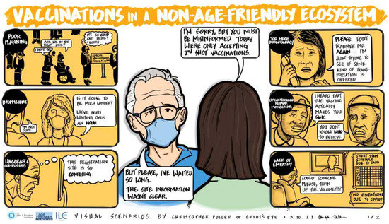 Age-Friendly Ecosystems: Expert Voices from the Field