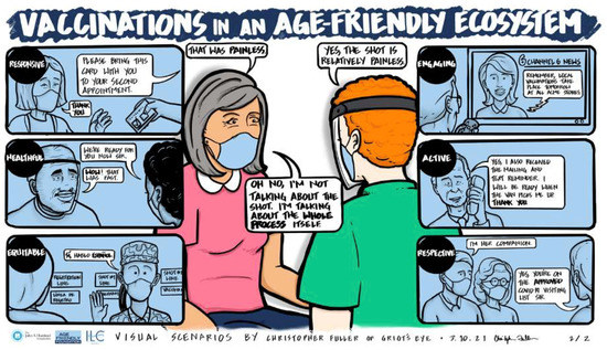 Age-Friendly Ecosystems: Expert Voices from the Field