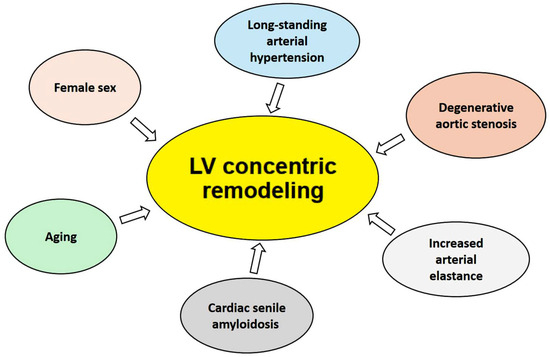 Echocardiographic Assessment of Cardiac Structure and Function of ...