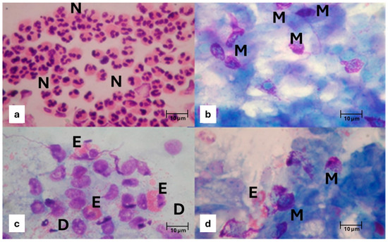 Rhinitis in the Geriatric Population: Epidemiological and Cytological ...
