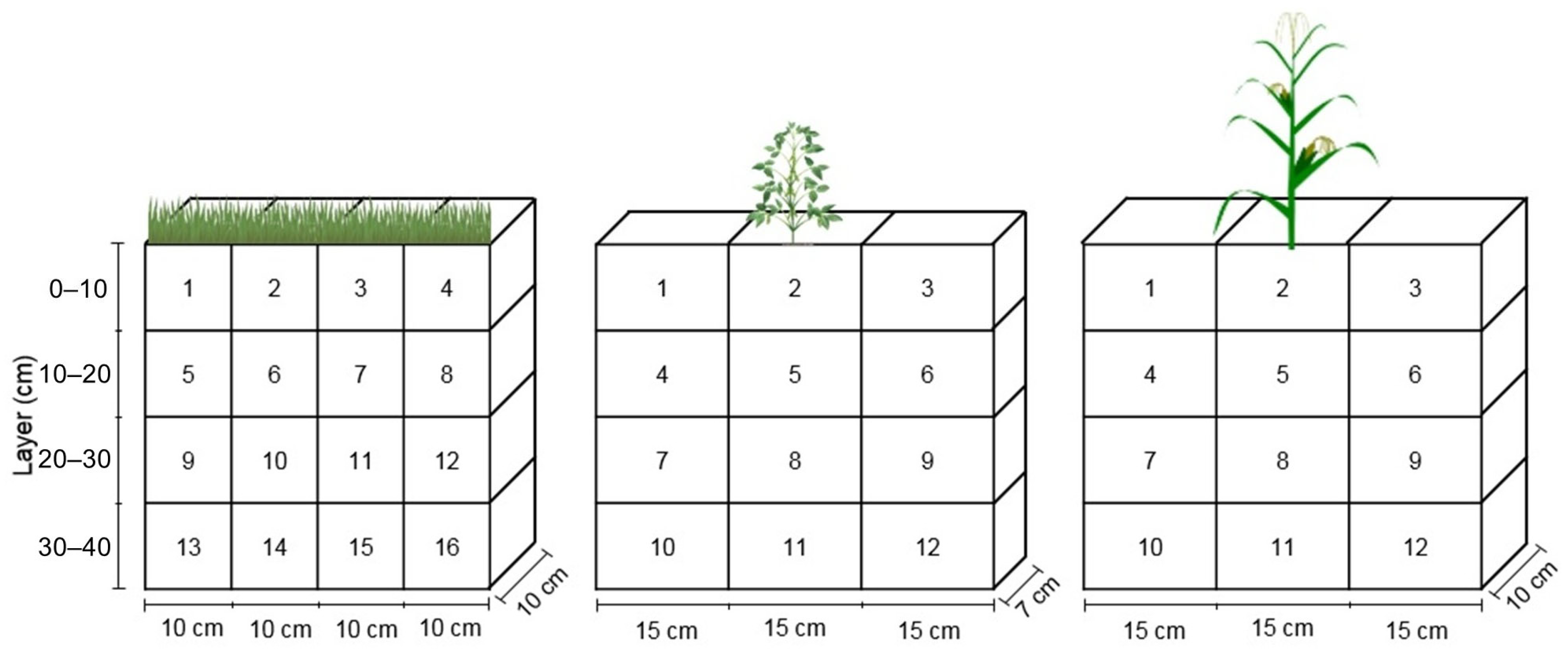 Root and Shoot Biomass Contributions to Soil Carbon and Nitrogen Under ...