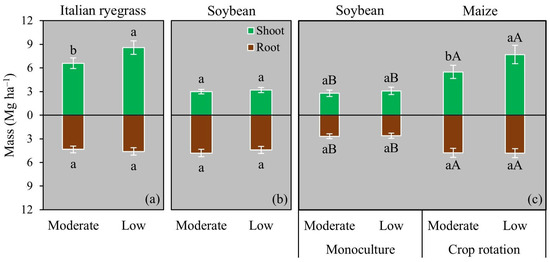 Root and Shoot Biomass Contributions to Soil Carbon and Nitrogen Under ...