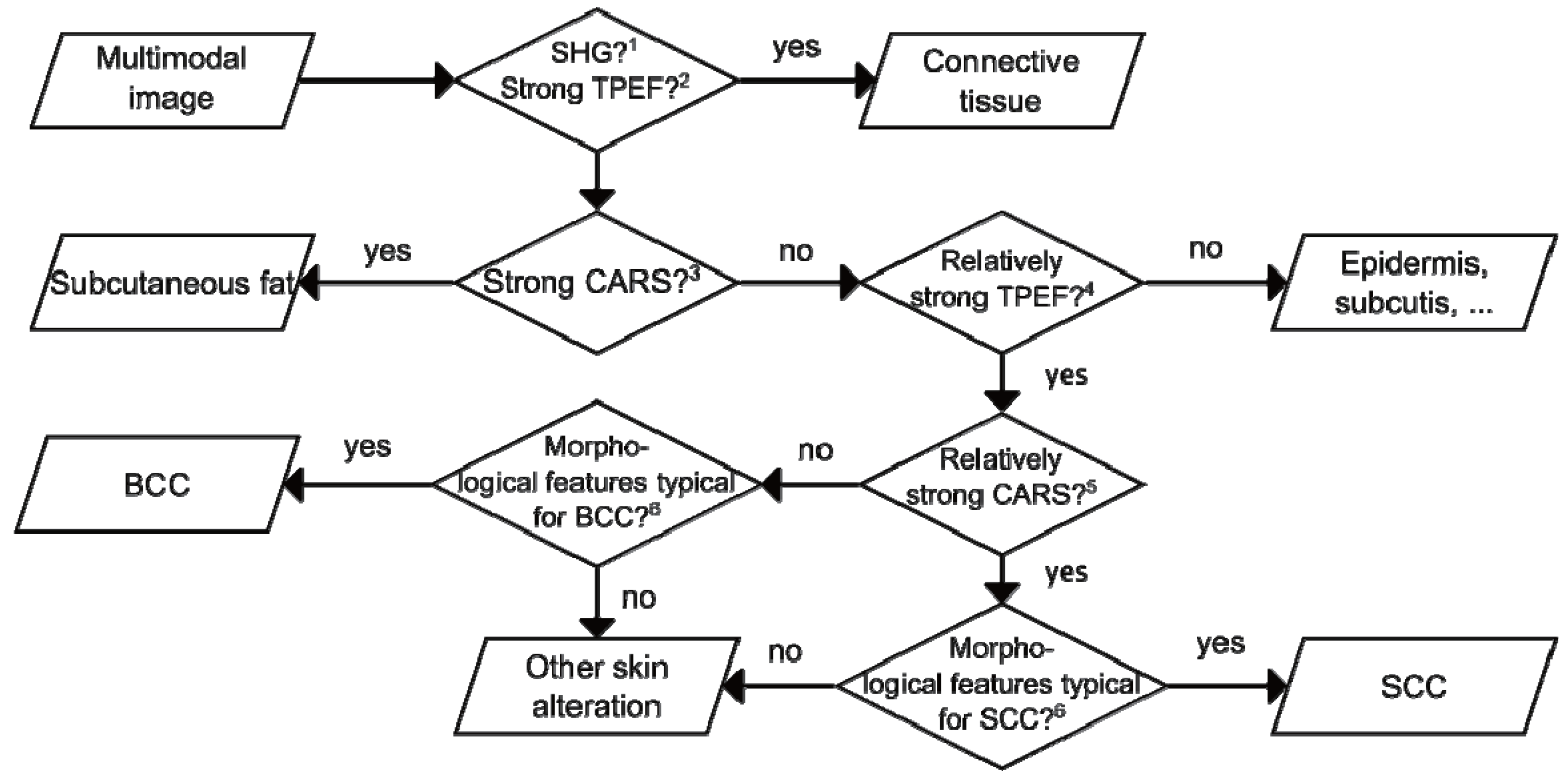 Detection and Discrimination of Non-Melanoma Skin Cancer by Multimodal ...