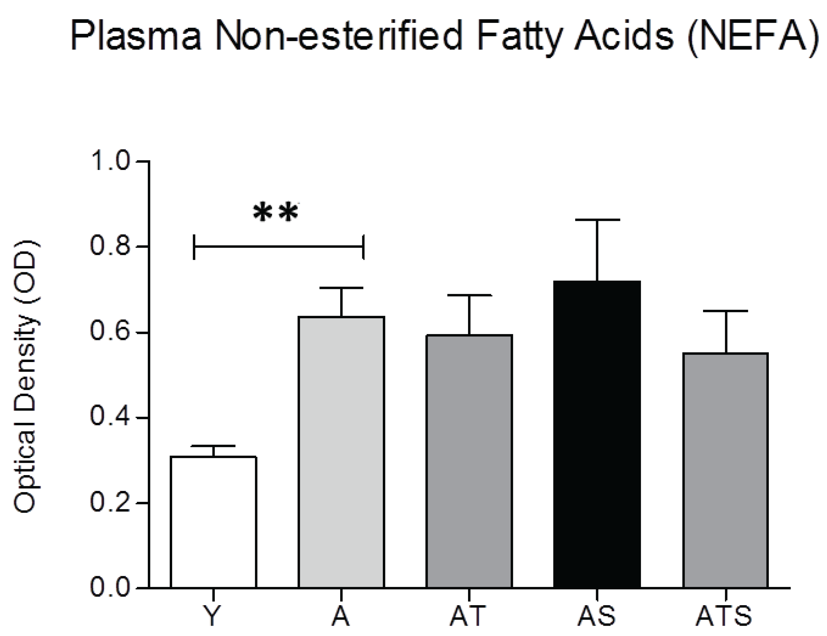 Fatty Liver and Fatty Heart—Where do They Stand in the AMIS Syndrome?