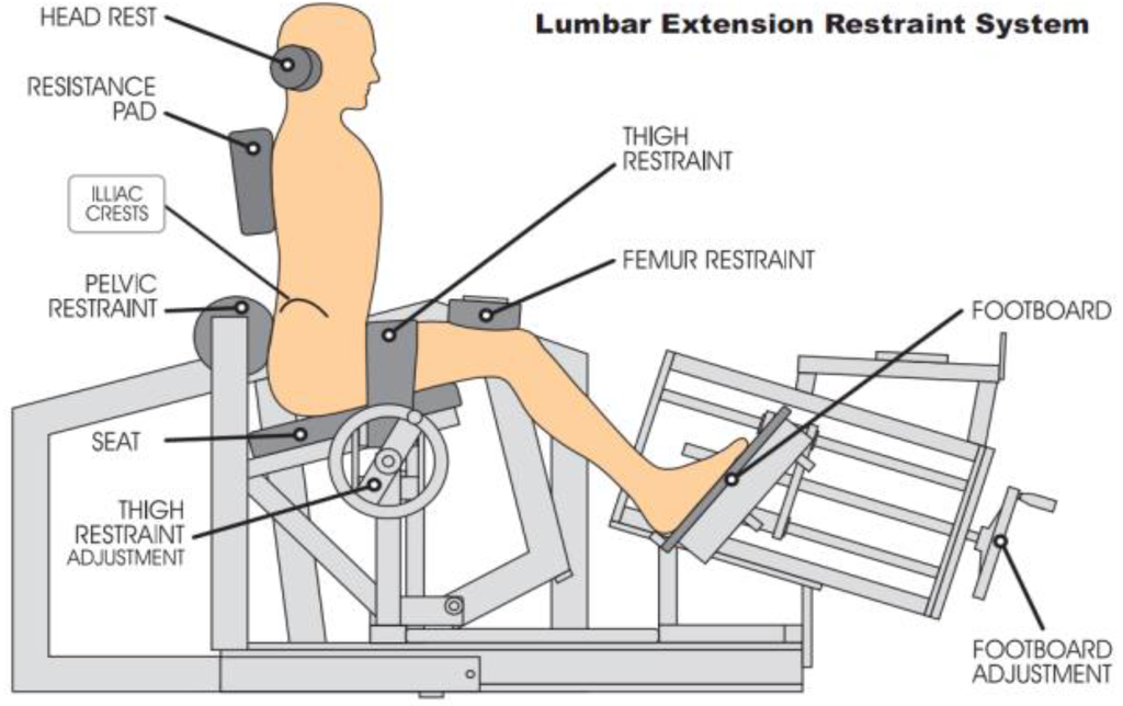 Associations between Trunk Extension Endurance and Isolated Lumbar ...
