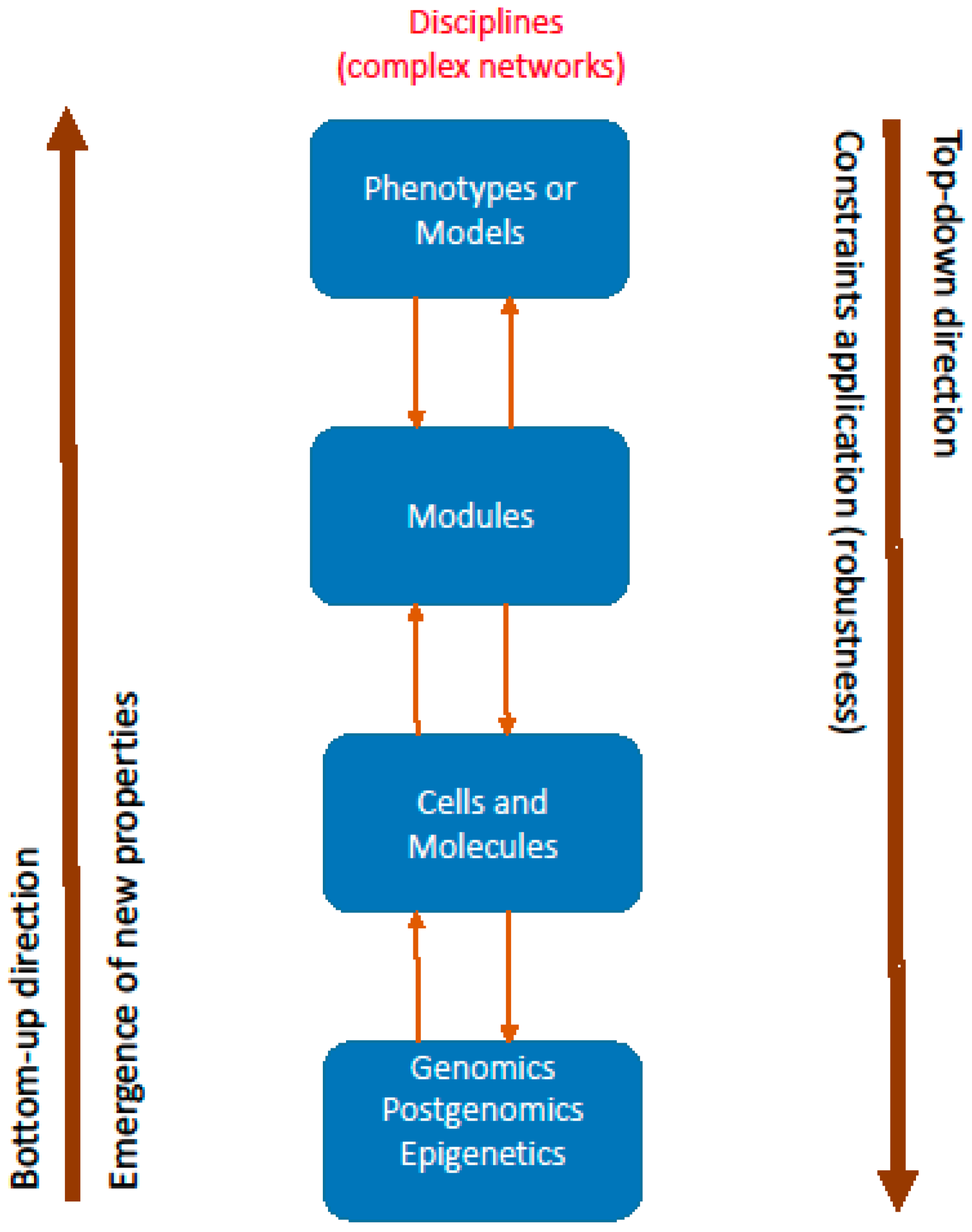 Conceptual Foundations of Systems Biology Explaining Complex Cardiac ...