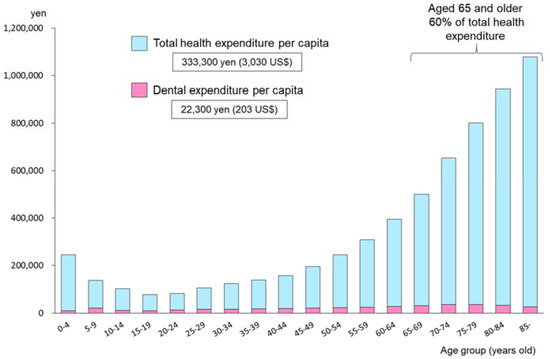The Oral Healthcare System in Japan