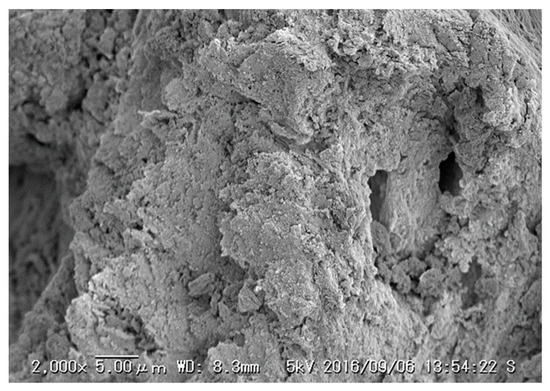 The Extremely High Adsorption Capacity of Fluoride by Chicken Bone Char ...