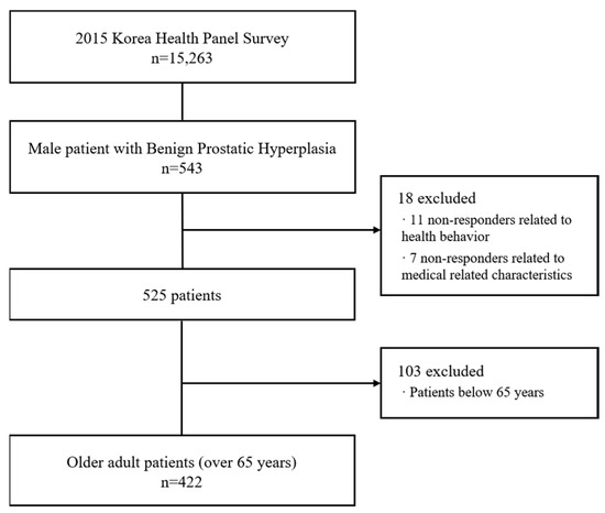 Benign Prostatic Hyperplasia Pathophysiology Diagram