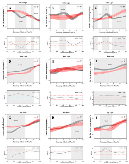Gender Differences in Kinematic Analysis of the Lower Limbs during the ...