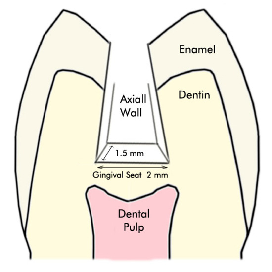 Healthcare | Free Full-Text | The Effect of Scuba Diving on ...