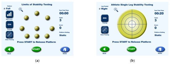 Postural Control and Functional Ankle Stability in Professional and ...