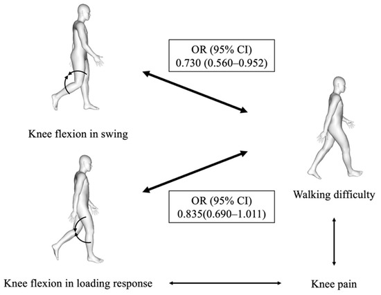 Self-Reported Walking Difficulty Associated with Stiff-Knee Gait in ...