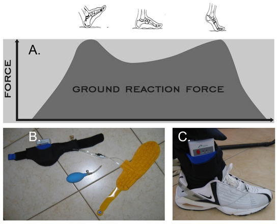 Distinct Ground Reaction Forces in Gait between the Paretic and Non ...