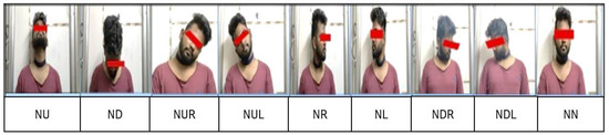 Real-Time Tracking of Human Neck Postures and Movements