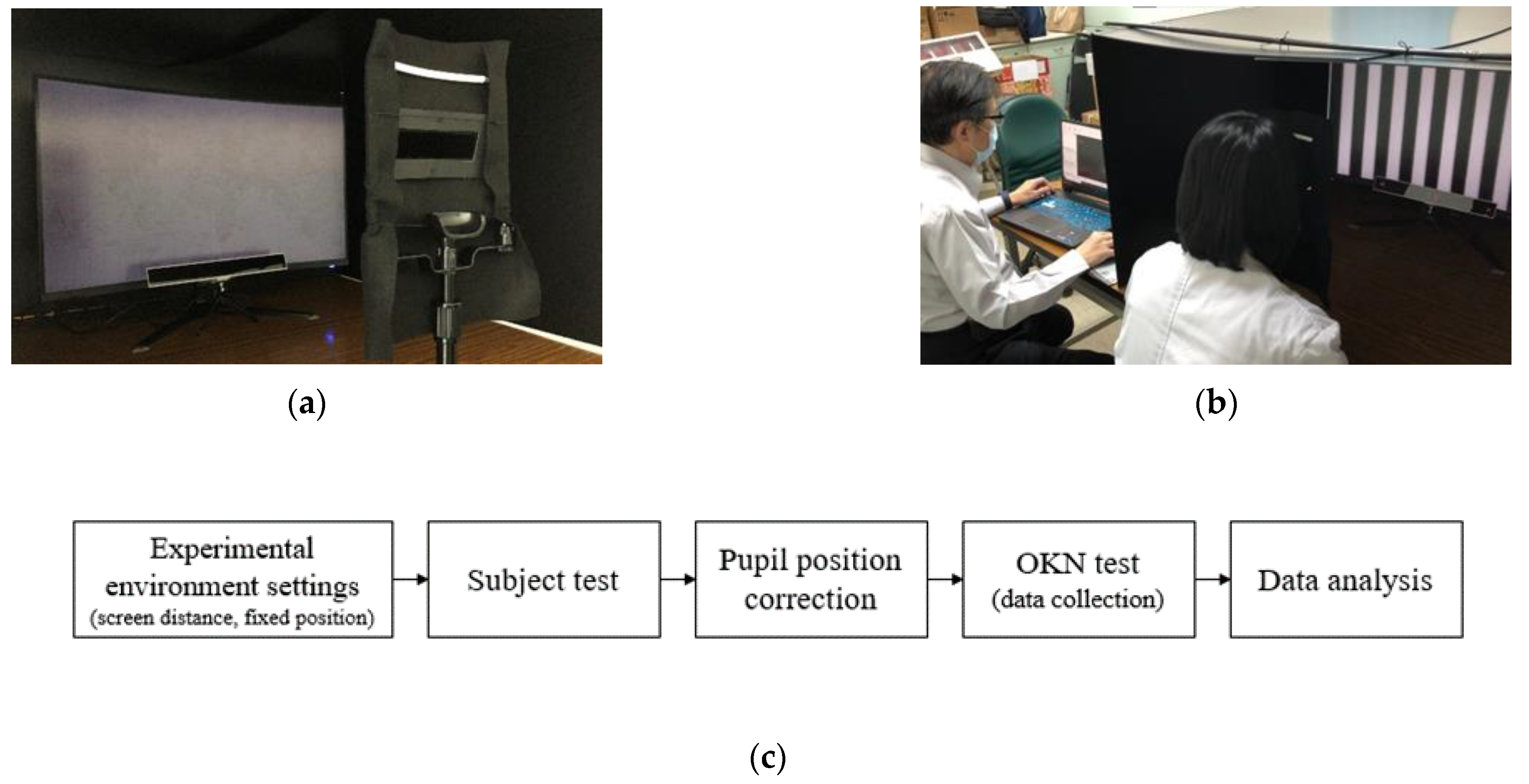 An Effective Algorithm to Analyze the Optokinetic Nystagmus Waveforms ...
