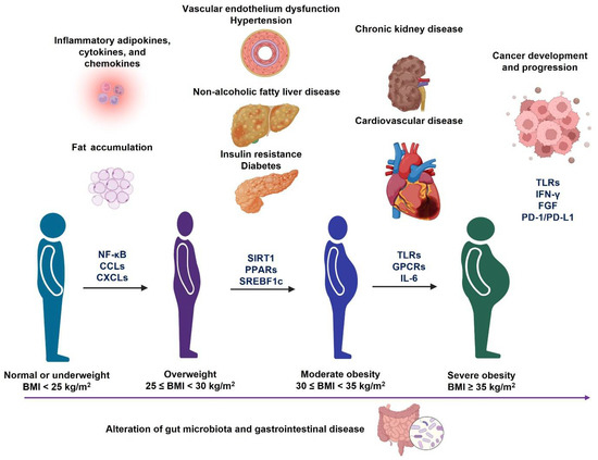 The Related Metabolic Diseases and Treatments of Obesity