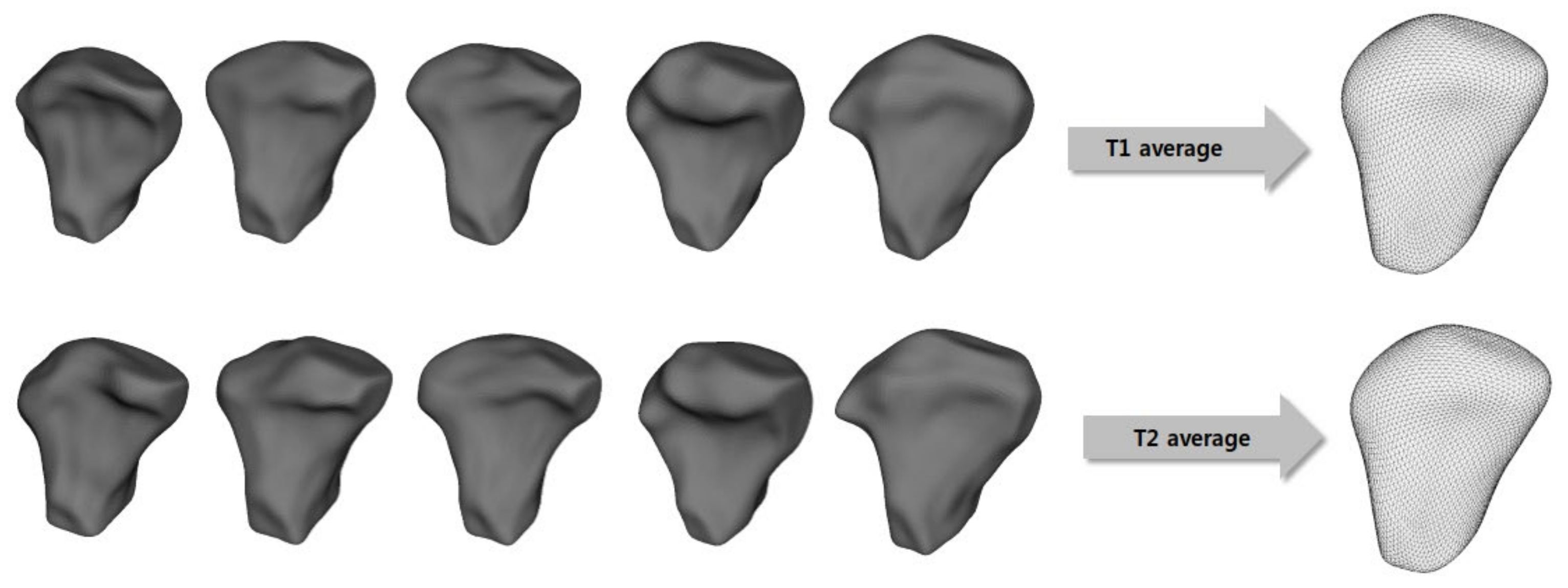 Healthcare | Free Full-Text | Assessment of Morphologic Change of ...