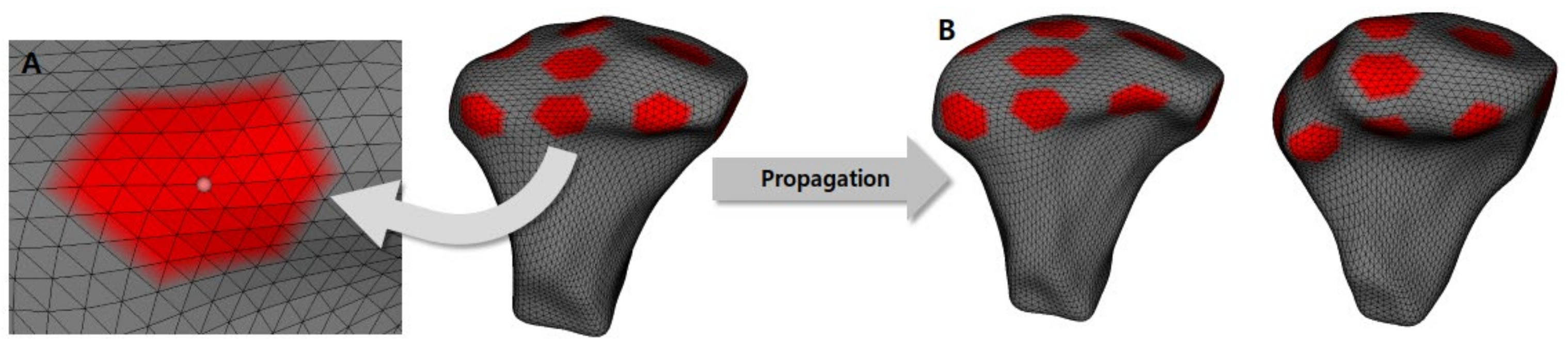 Healthcare | Free Full-Text | Assessment of Morphologic Change of ...