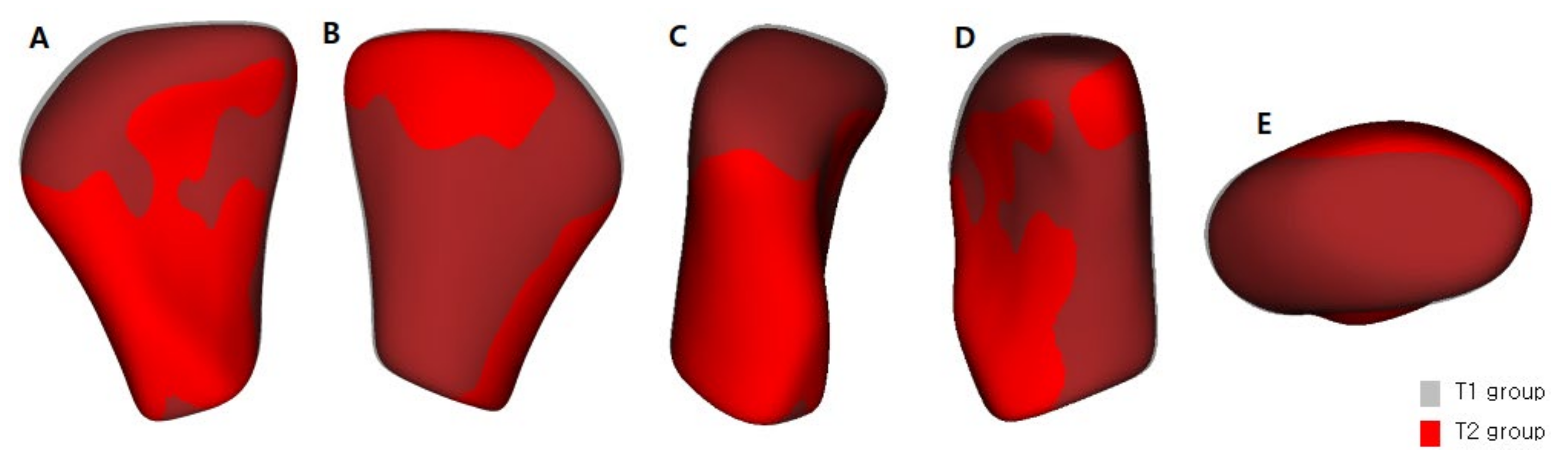 Healthcare | Free Full-Text | Assessment of Morphologic Change of ...