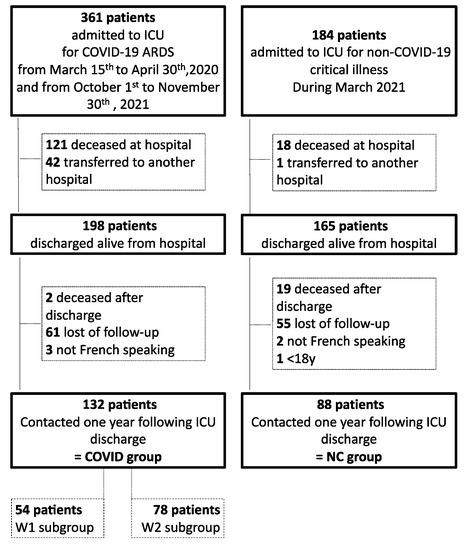 One-Year Functional Decline in COVID-19 and Non-COVID-19 Critically Ill Survivors: A Prospective ...