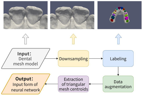 A Tooth Segmentation Method Based on Multiple Geometric Feature Learning