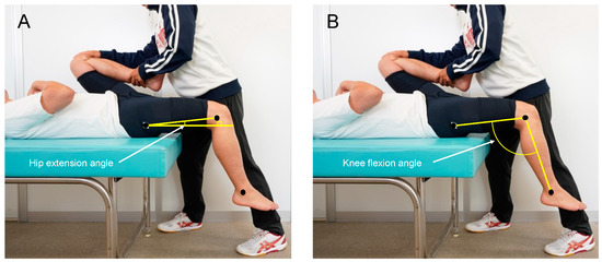 Acute and Prolonged Effects of Dermal Suction on Joint Range of Motion ...