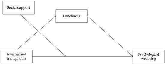 The Role of Internalized Transphobia, Loneliness, and Social Support in ...