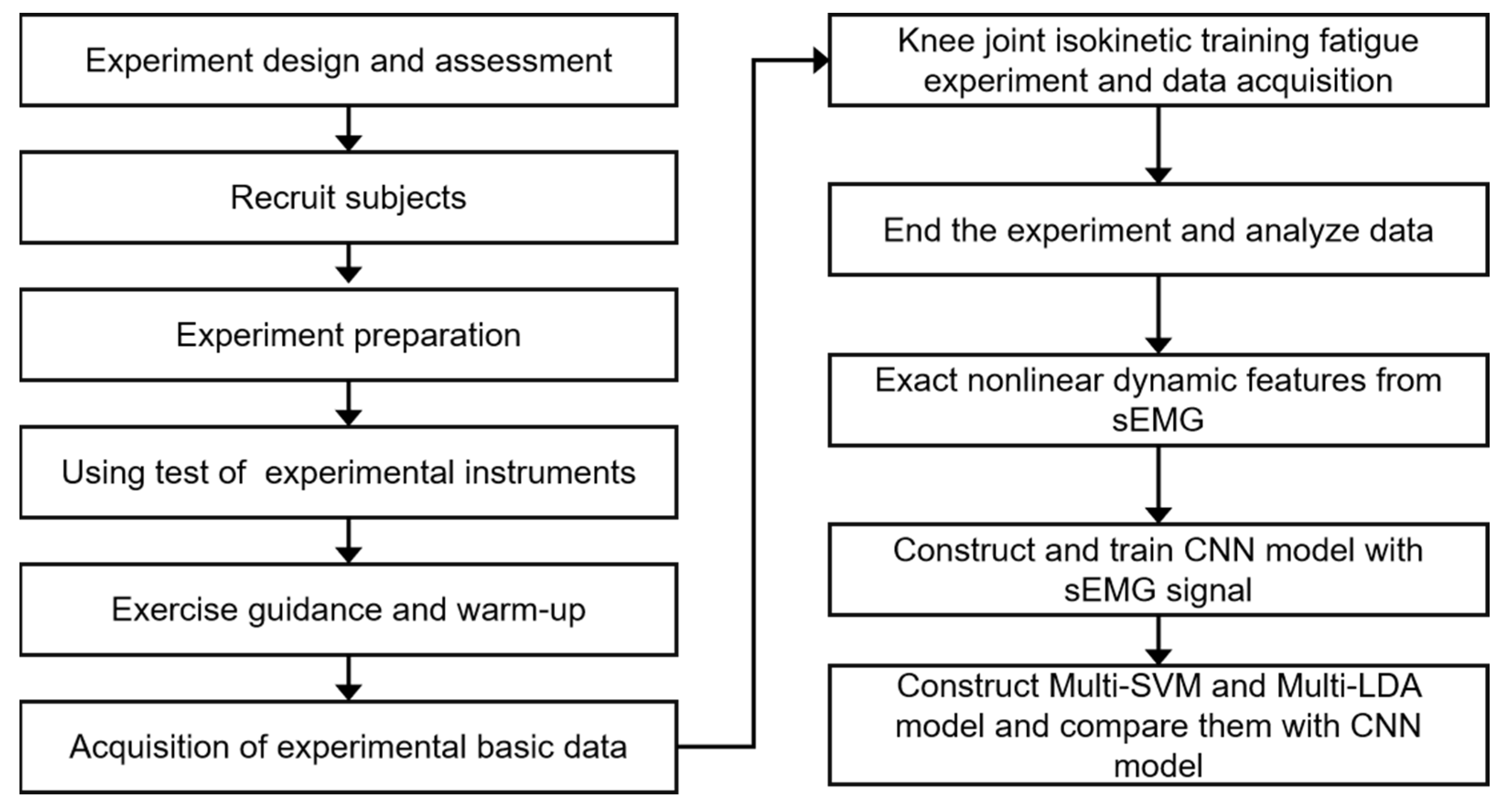 Research on the Recognition of Various Muscle Fatigue States in ...