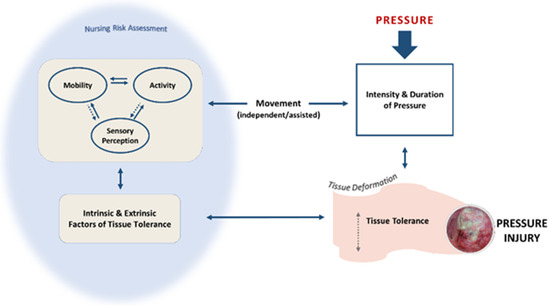 Healthcare | Free Full-Text | Nursing Assessment of Pressure Injury ...