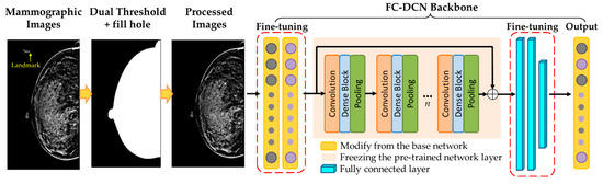 Using Deep Neural Network Approach for Multiple-Class Assessment of Digital Mammography